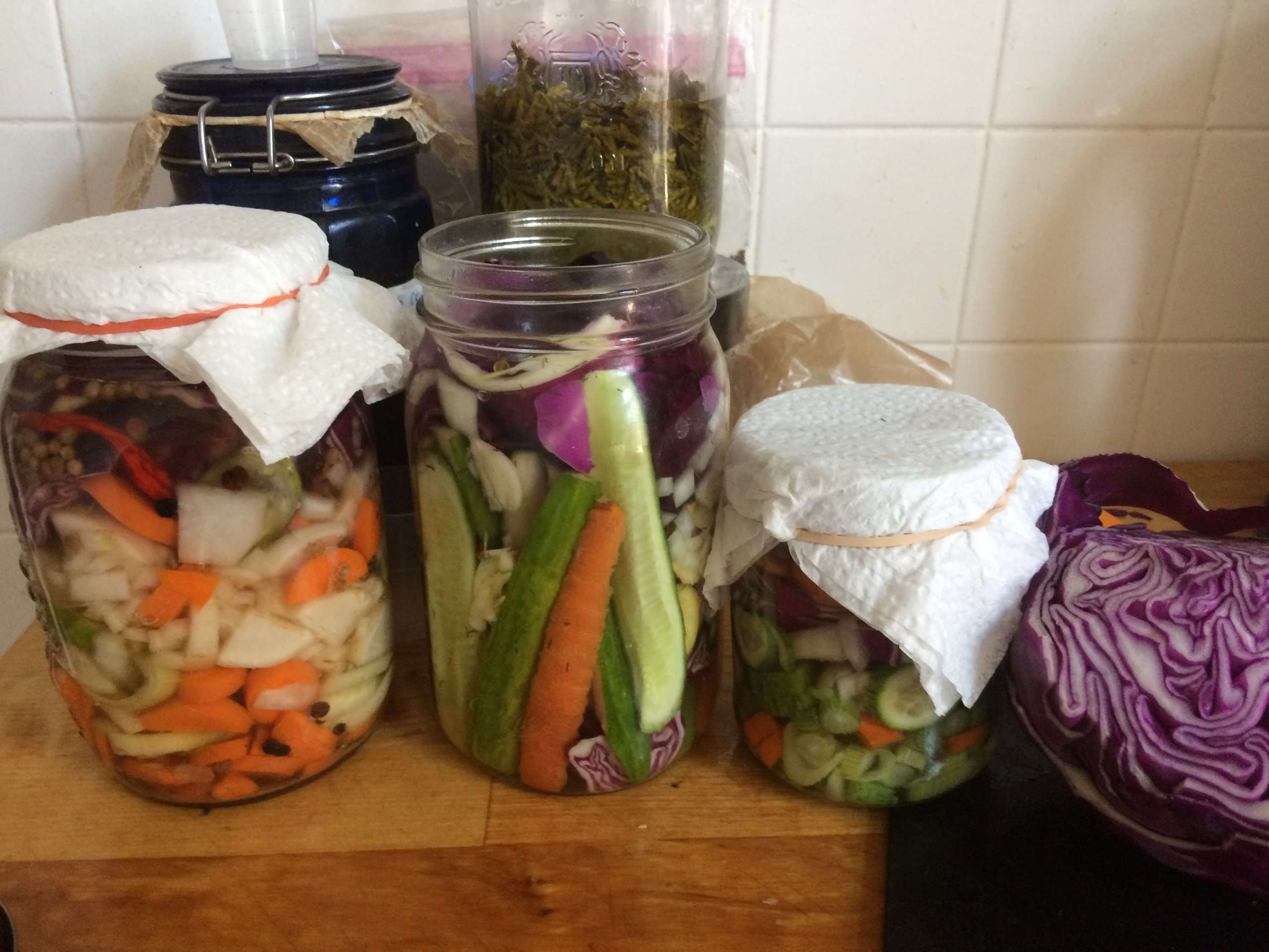 Preparing your own Sauerkraut at Home - Katolen Yardley